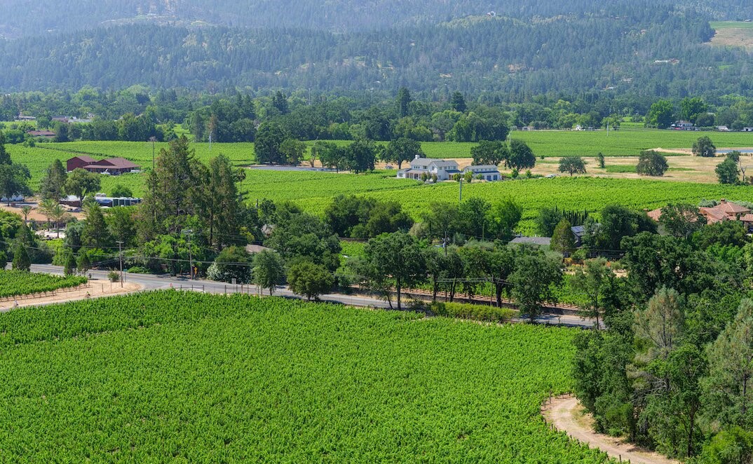 A Brief Guide to the Bay Area Wine Country - Haven Lifestyles