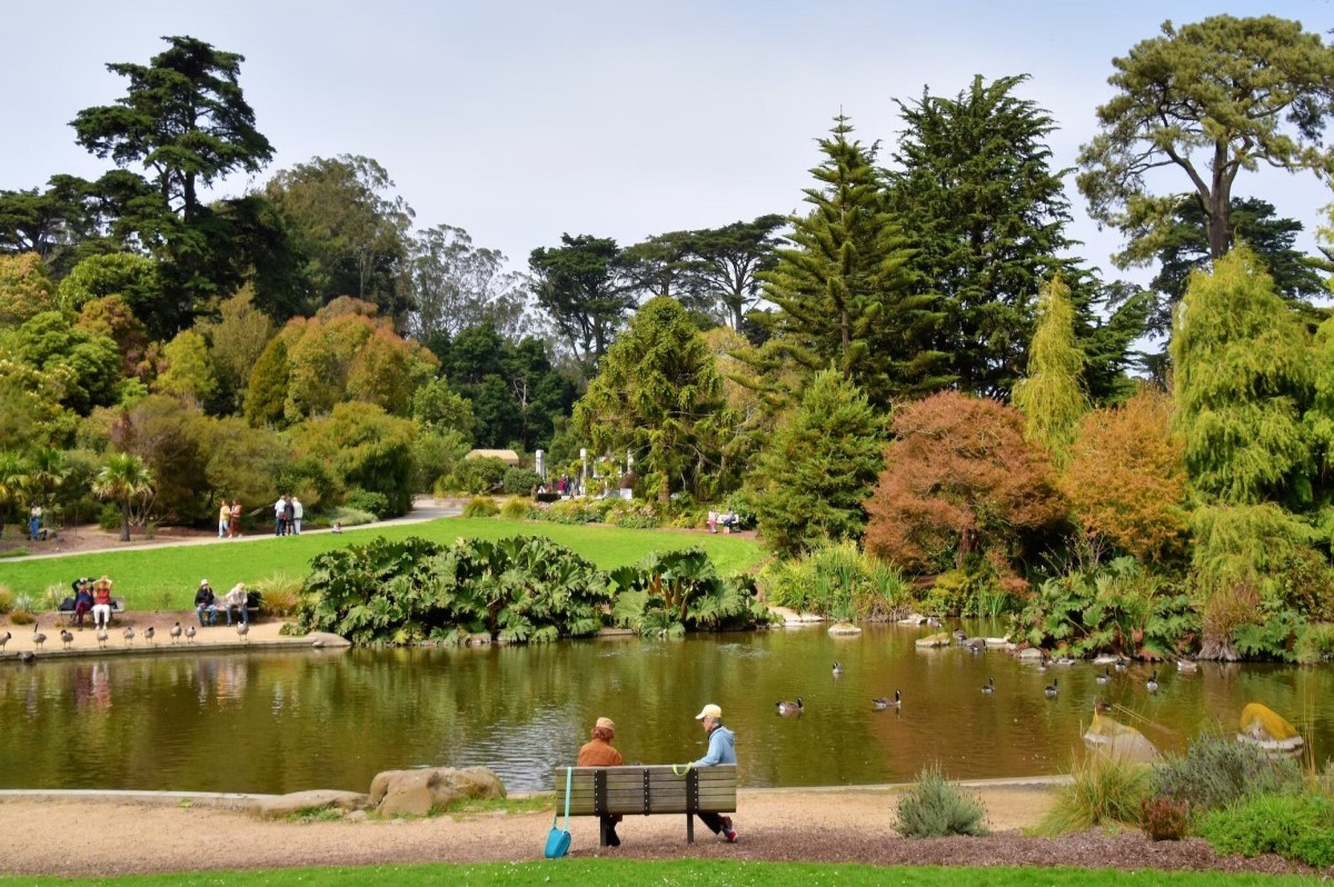 A Look at Some of the Bay Area’s Best Outdoor Destinations - Haven ...