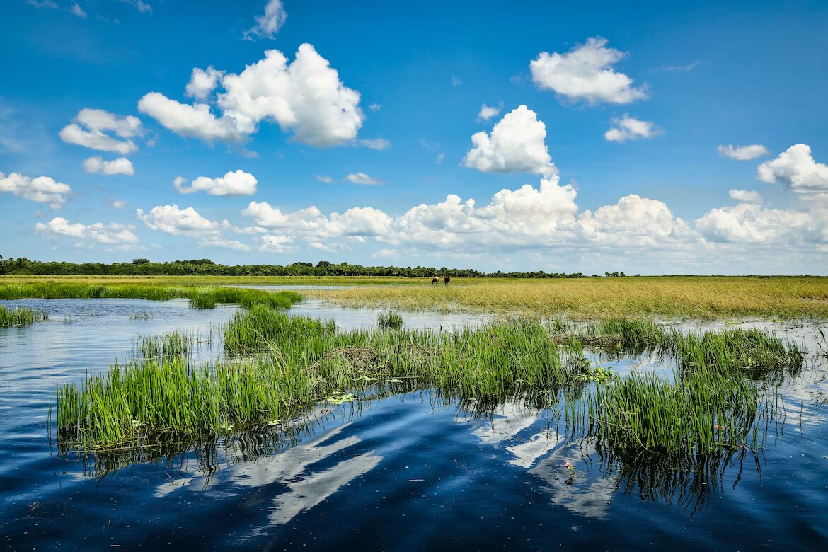 Gorgeous Lakes and Rivers in Central and North Florida That Offer ...