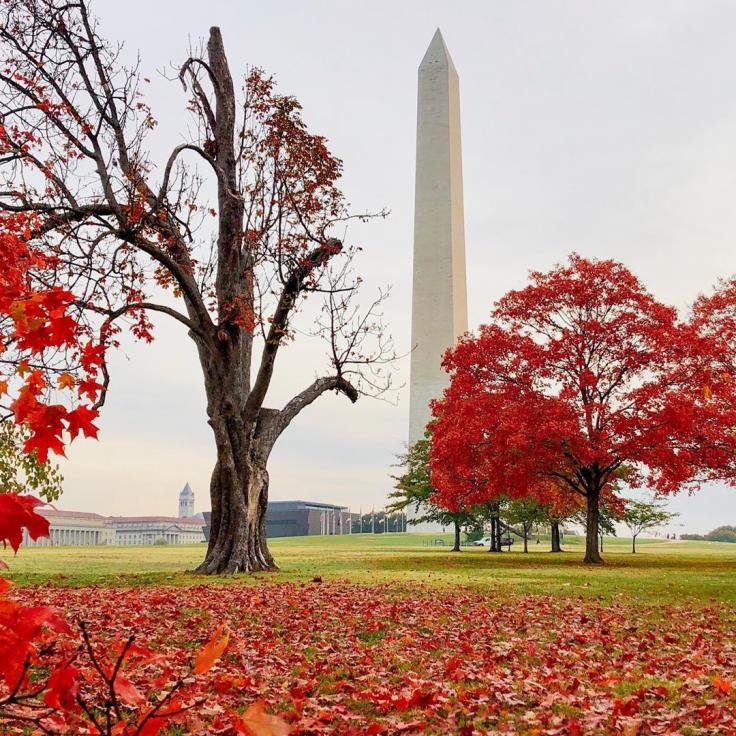 Best Things to Do in Washington DC This Fall - Haven Lifestyles