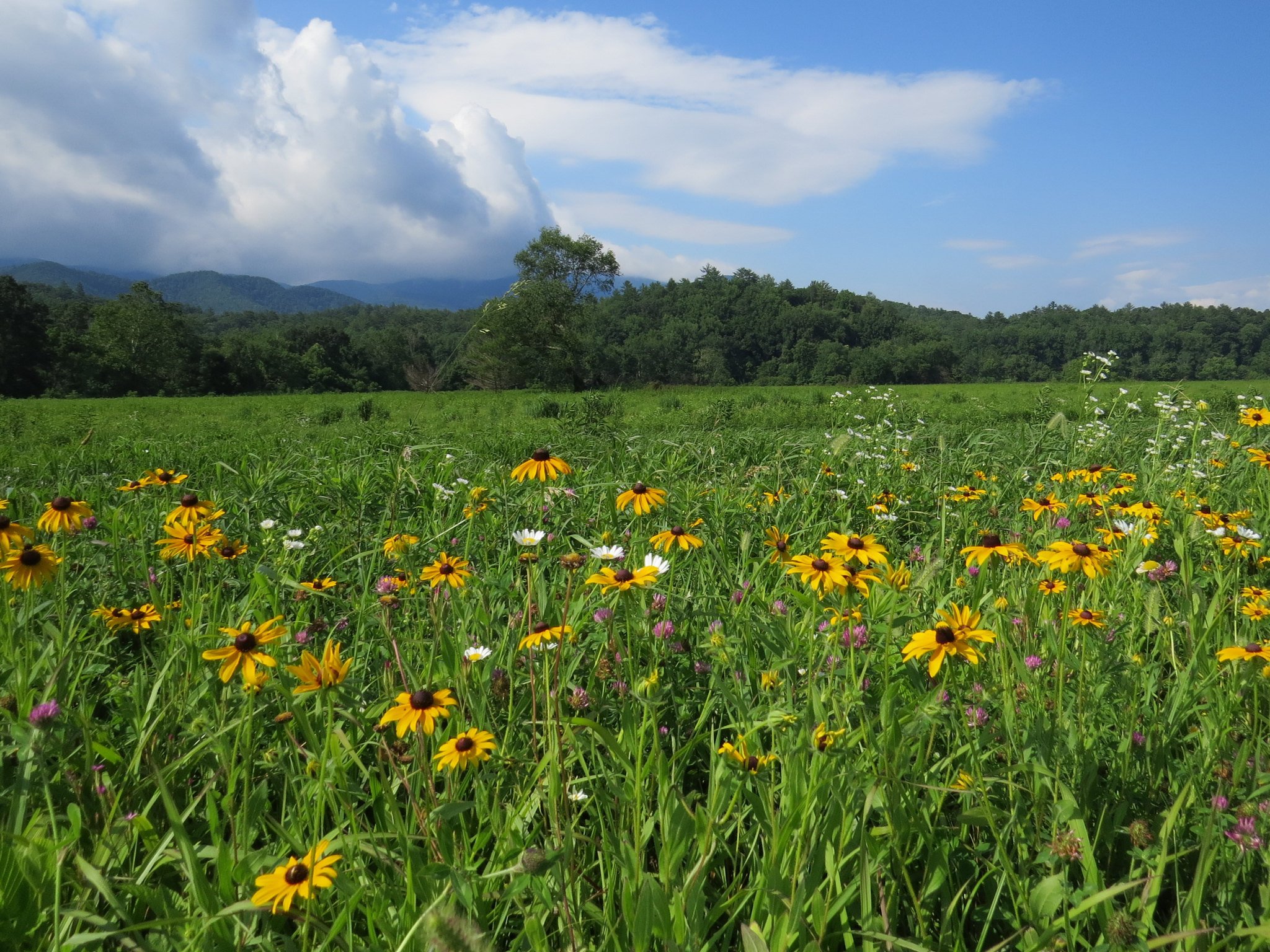 Picturesque Tennessee Summer Vacation Destinations - Haven Lifestyles