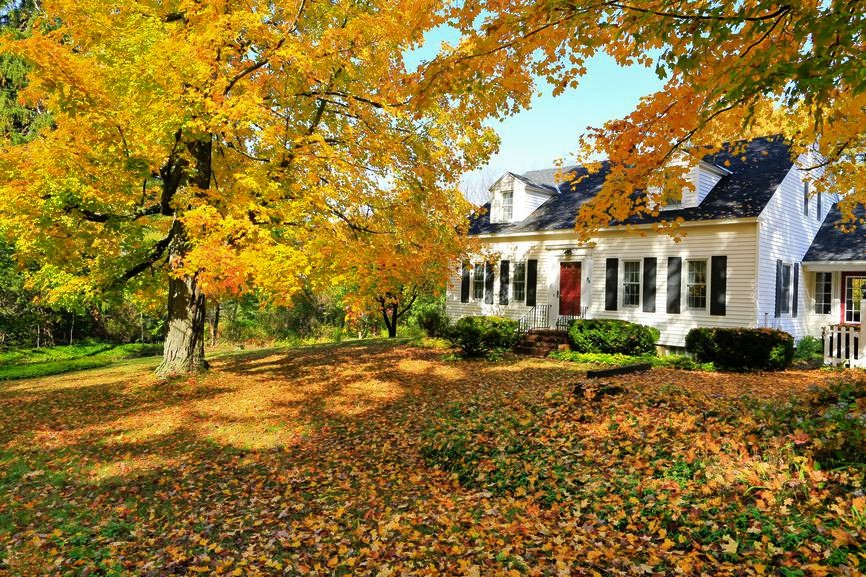 Stunning Michigan Fall Destinations - Haven Lifestyles