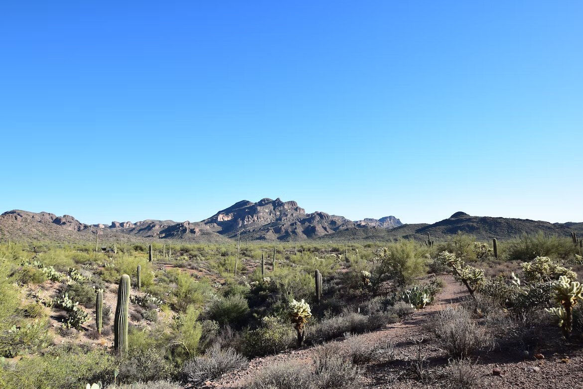Prime Locations in Arizona - Haven Lifestyles