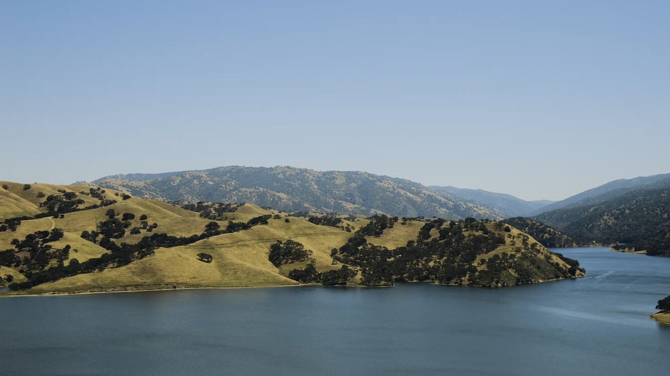 Top Lakes to Explore in the Bay Area This Summer - Haven Lifestyles