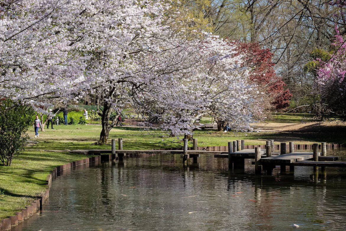 Why Memphis is One of the South’s Best Cities to Call Home - Haven ...