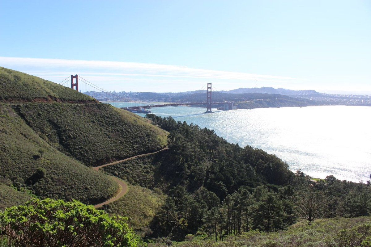 The Unmatched Allure of San Francisco Bay Living - Haven Lifestyles