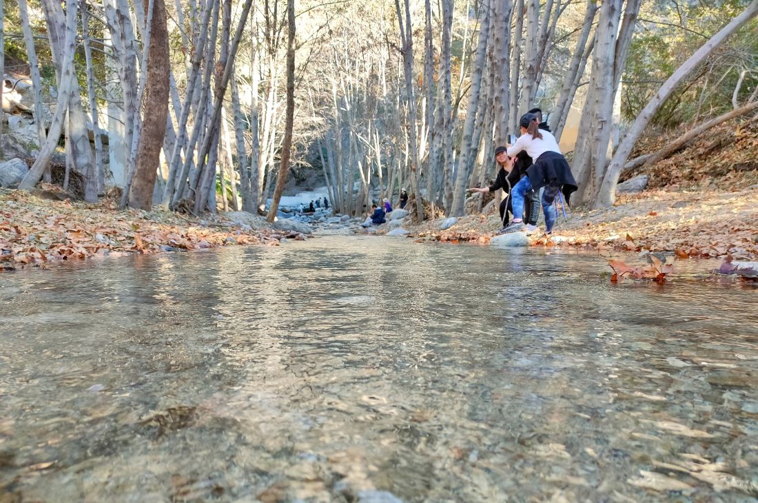 Top Summer Activities in Los Angeles - Haven Lifestyles