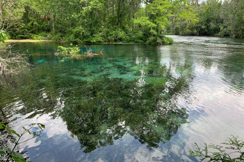 Can’t-Miss Summer Activities in Central and North Florida - Haven ...