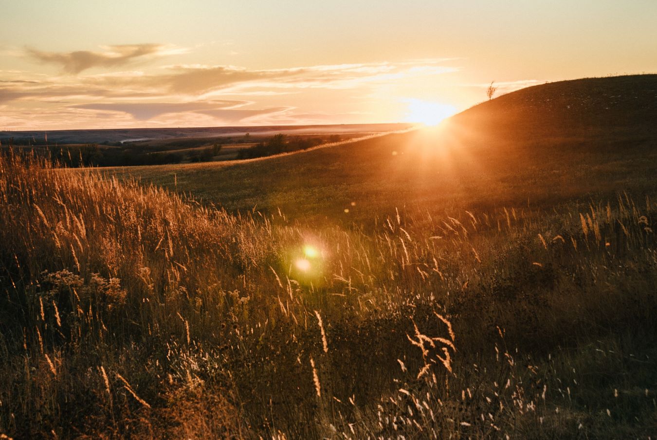 The Appeal of Midwest Country Living - Haven Lifestyles