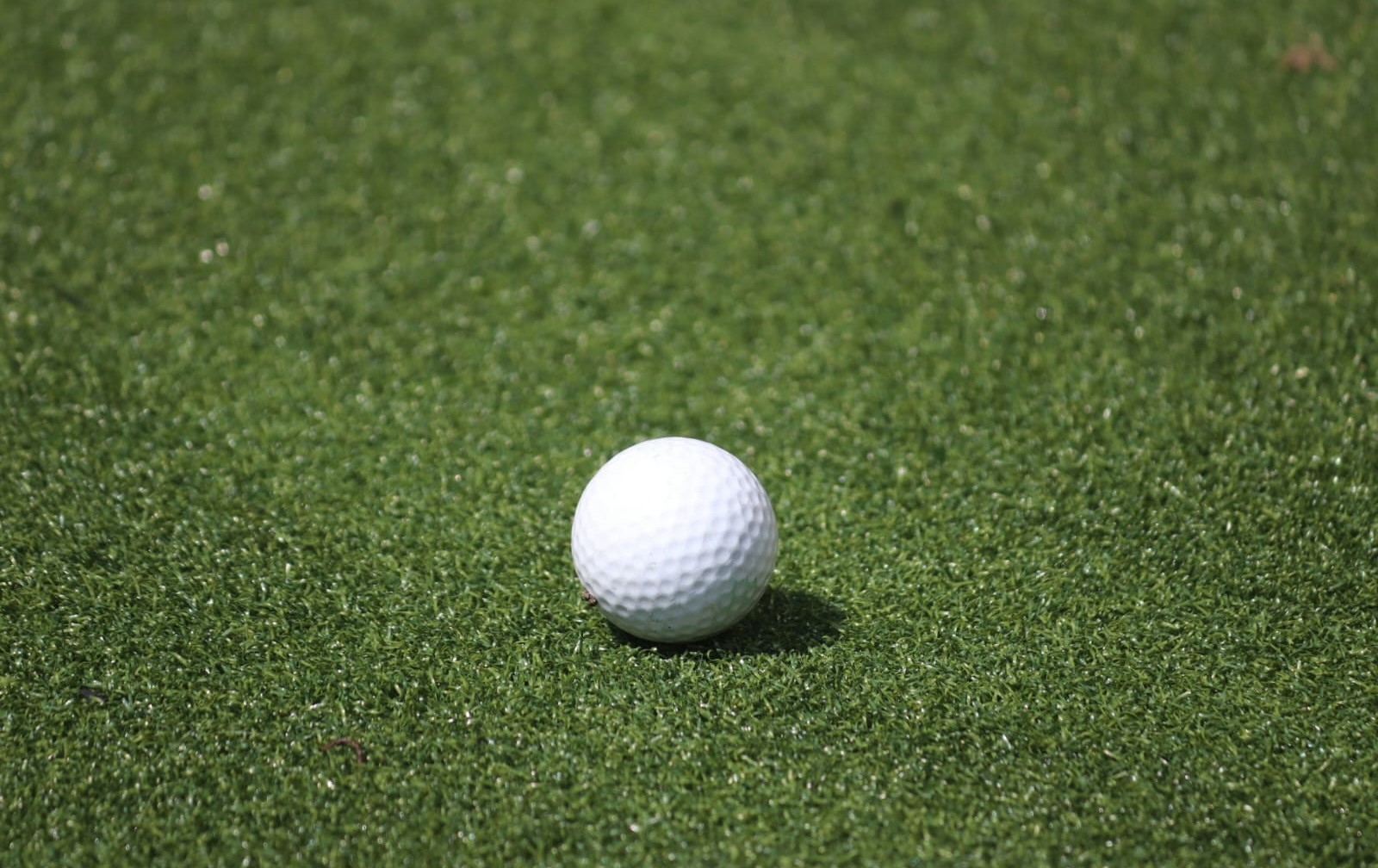 The U.S. Open Brings Championship Golf to the Hamptons - Haven Lifestyles