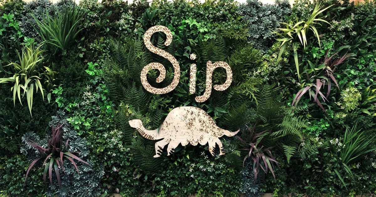 Q&A with June Quan of Sip Matcha - Haven Lifestyles