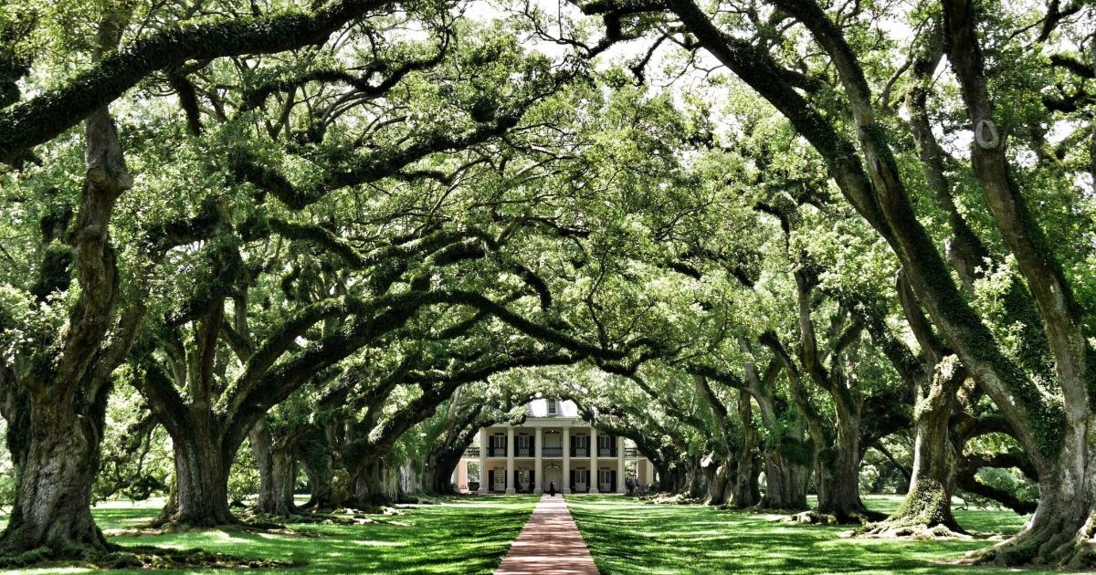 The Appeal of Country Living in Arkansas and Louisiana - Haven Lifestyles